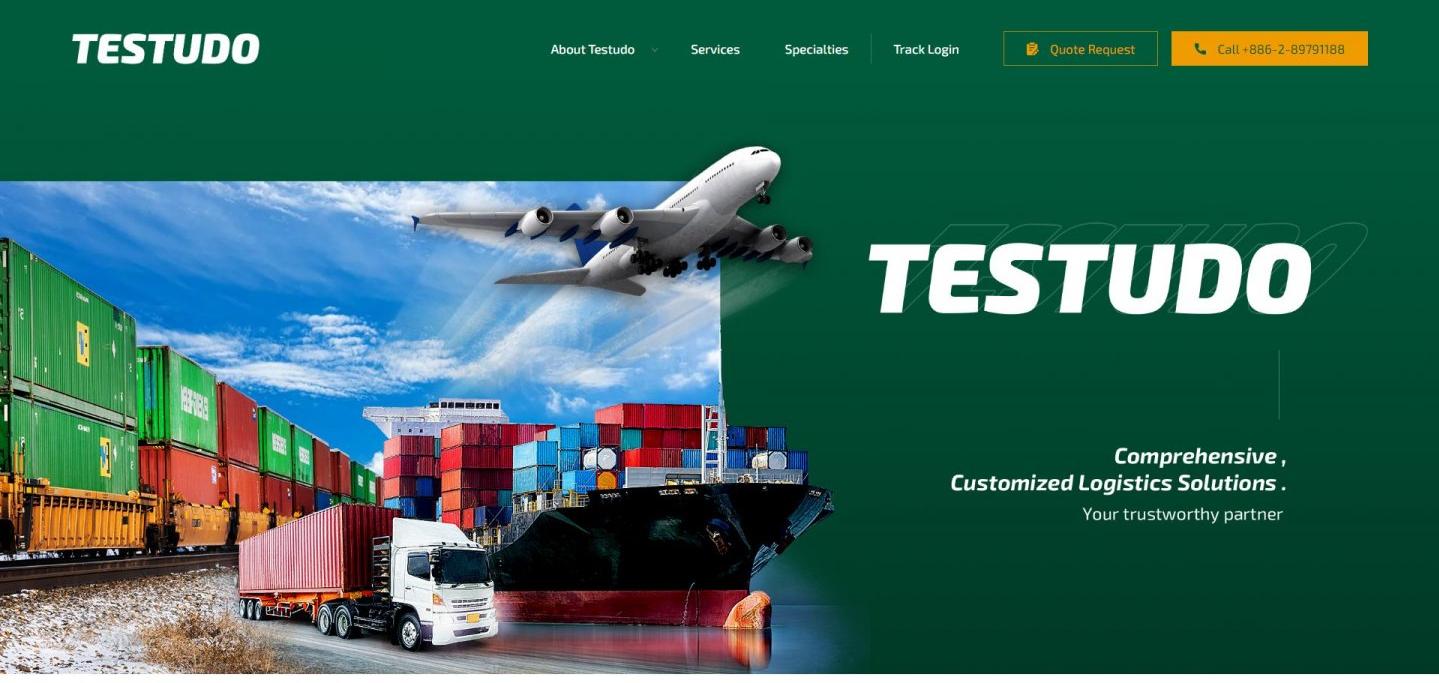 TESTUDO CONSOLIDATION SOLUTIONS LTD. testudo consolidation s | TESTUDO ...