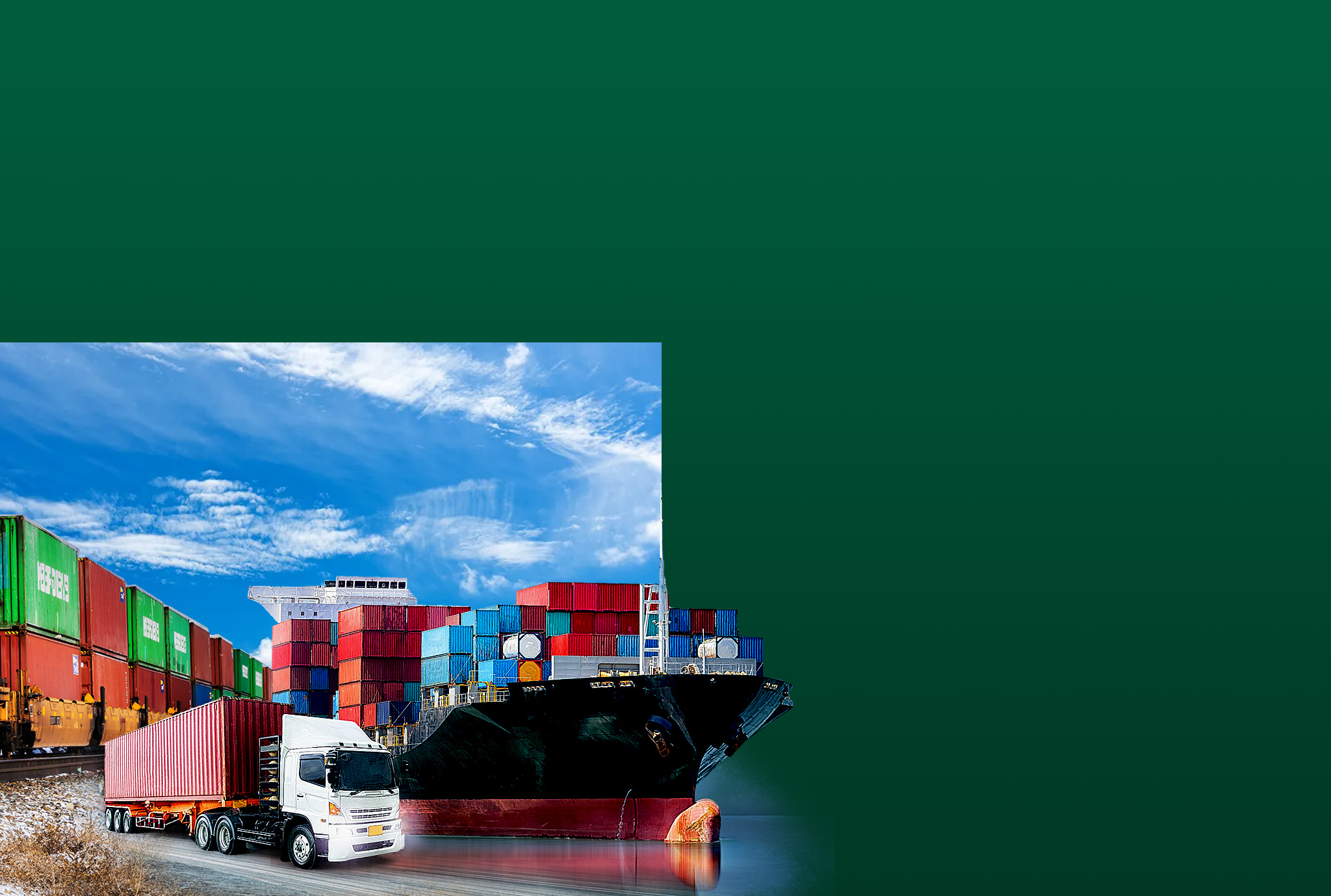 TESTUDO CONSOLIDATION SOLUTIONS LTD. testudo consolidation s | TESTUDO ...